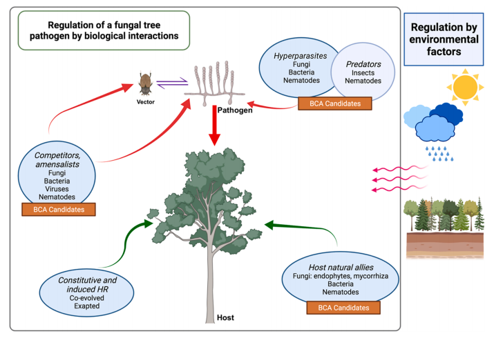 HOMED - HOMED research investigates the possibilities for applying ...